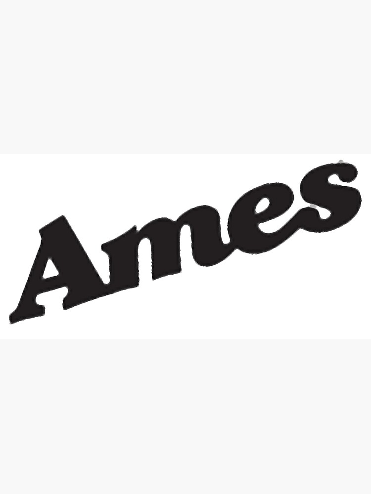 "Ames Department Store Retro Logo" Poster for Sale by fergyfilms ...