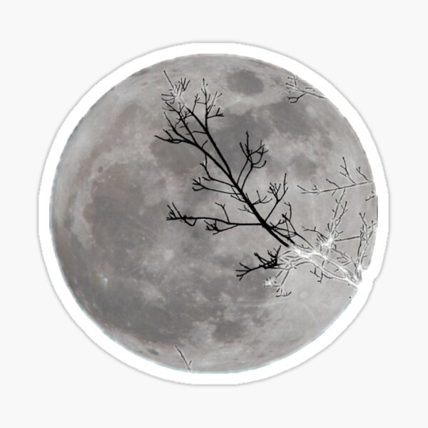 "Romantic Moon Photographic design" Sticker for Sale by elshrif99 ...