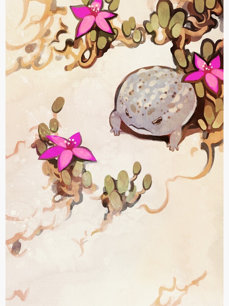 "Desert Rain Frog (digital painting)" Art Print by Dawnfire | Redbubble