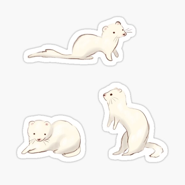 "Ferret illustration " Sticker for Sale by Mayarart | Redbubble