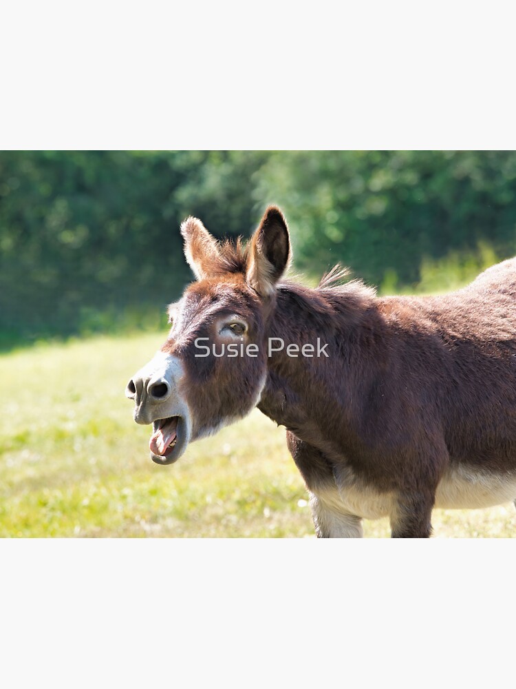 "Braying Donkey in a Field" Sticker for Sale by Siska | Redbubble