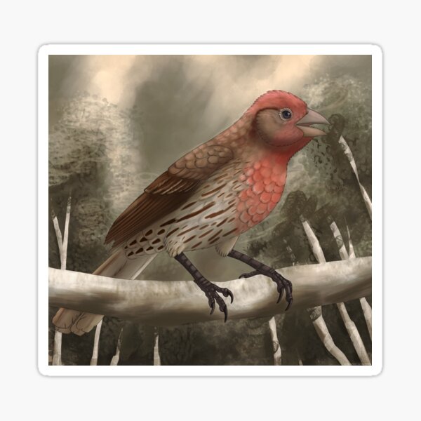 "Singing House finch" Sticker for Sale by DragonArtist15 | Redbubble