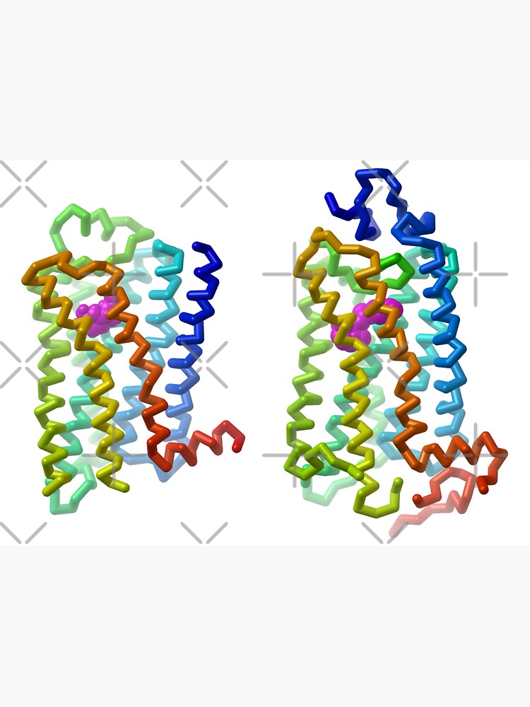 "Adrenergic receptors - they have a backbone!" Sticker for Sale by ...