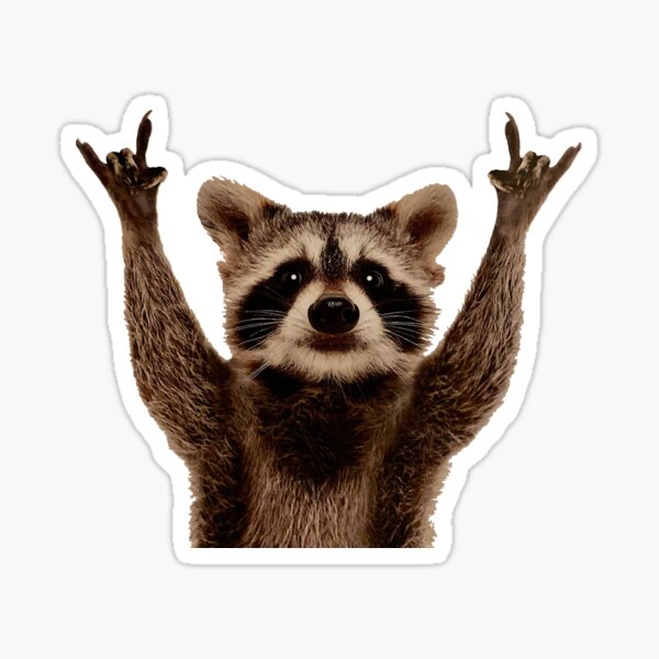 "Raccoon Rock Sign - Funny Raccoon Rock Music Meme" Sticker for Sale by ...