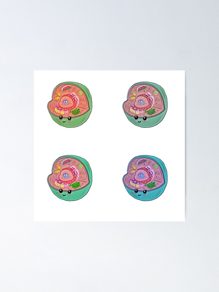 "Cute cells" Poster for Sale by Tamm-art | Redbubble