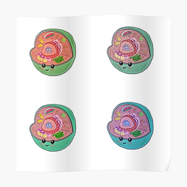 "Cute cells" Poster for Sale by Tamm-art | Redbubble