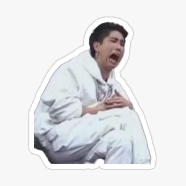 "Stray Kids Han Jisung funny meme - skz" Sticker for Sale by Monahh98 ...