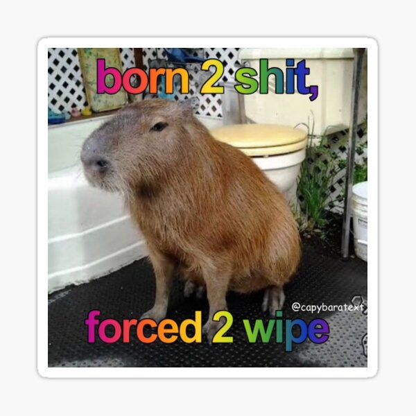 "Born to Shit, Forced to Wipe Capybara Meme" Sticker for Sale by ...