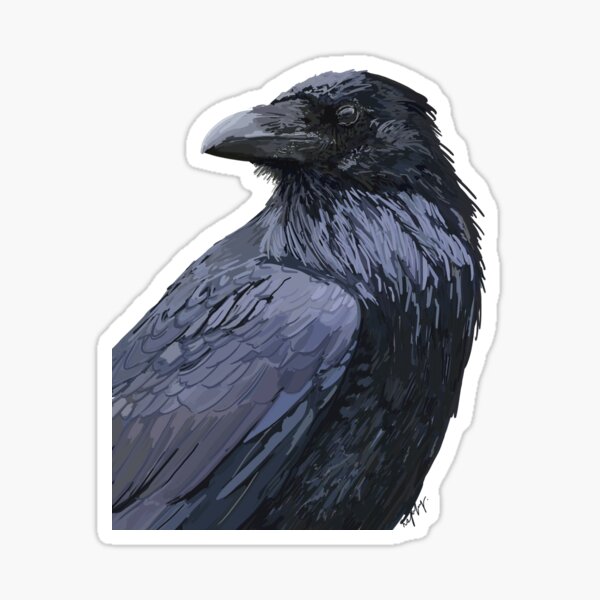 "Raven" Sticker for Sale by Hailey Sperling | Redbubble