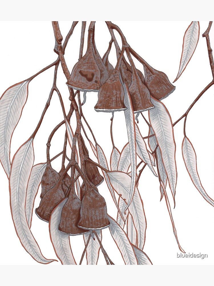 "Gum nuts bronze silver" Sticker for Sale by blueidesign | Redbubble