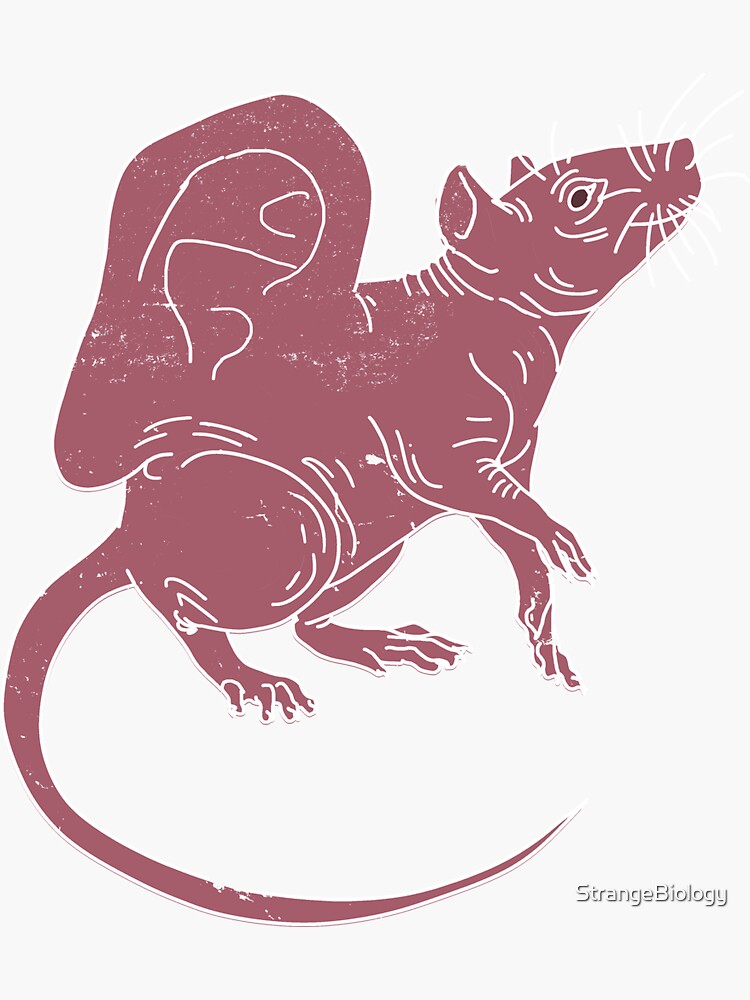 "Vacanti Ear Mouse" Sticker for Sale by StrangeBiology | Redbubble