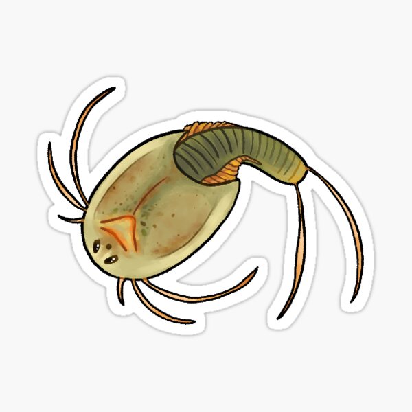 "Triop" Sticker for Sale by Firenkyo | Redbubble