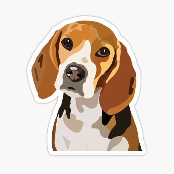 "Beagle Sticker" Sticker for Sale by shutupmacc | Redbubble