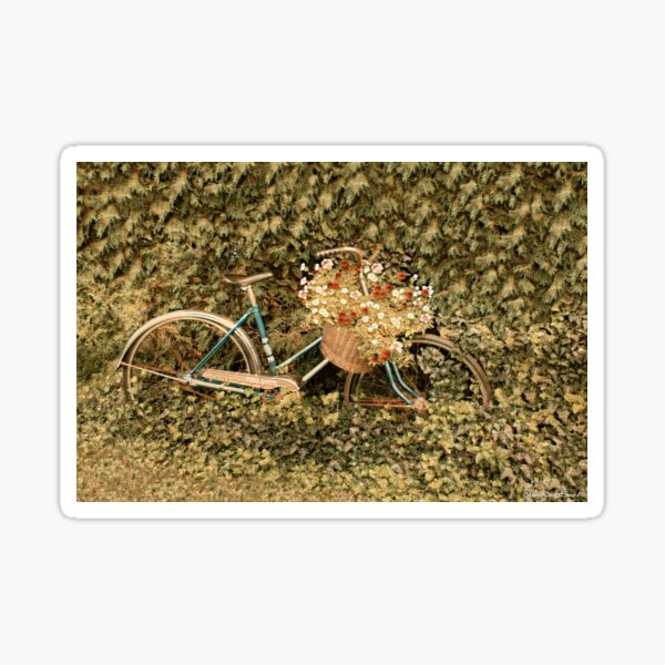 "Flower Bike 1-5L" Sticker for Sale by MaryLinH | Redbubble