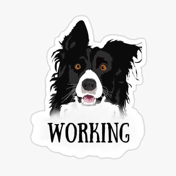 "Cute Working Dog" Sticker for Sale by Willyboy16 | Redbubble