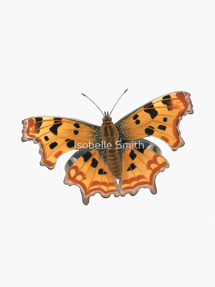 "Comma Butterfly Natural History Illustration Oil Painting" Sticker for ...