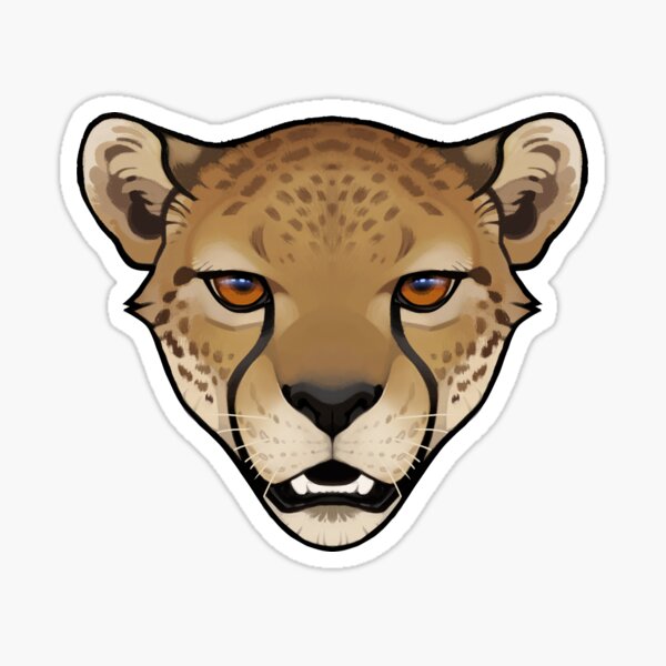 "Cheetah" Sticker for Sale by LiLaiRasShop | Redbubble