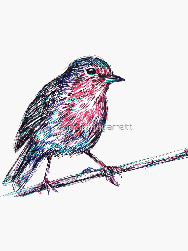 "Robin" Sticker for Sale by samanthagarrett | Redbubble