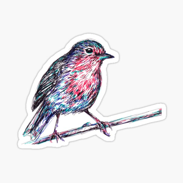 "Robin" Sticker for Sale by samanthagarrett | Redbubble