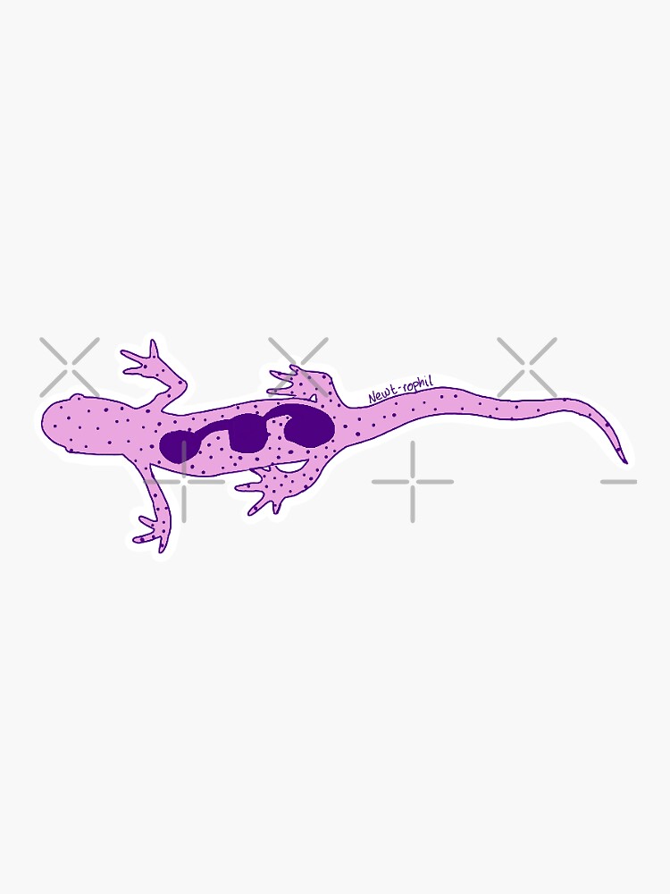 "Newt-rophill sticker: neutrophil newt pun" Sticker for Sale by ...
