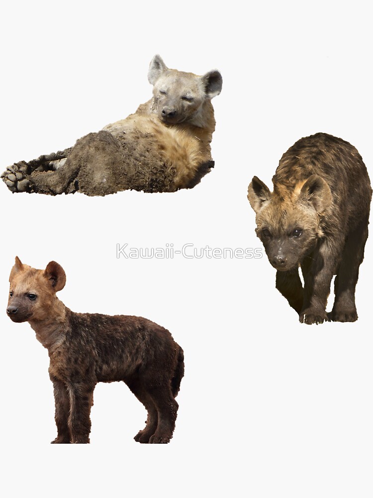 "Pack Of Hyenas" Sticker for Sale by Kawaii-Cuteness | Redbubble