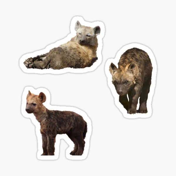 "Pack Of Hyenas" Sticker for Sale by Kawaii-Cuteness | Redbubble