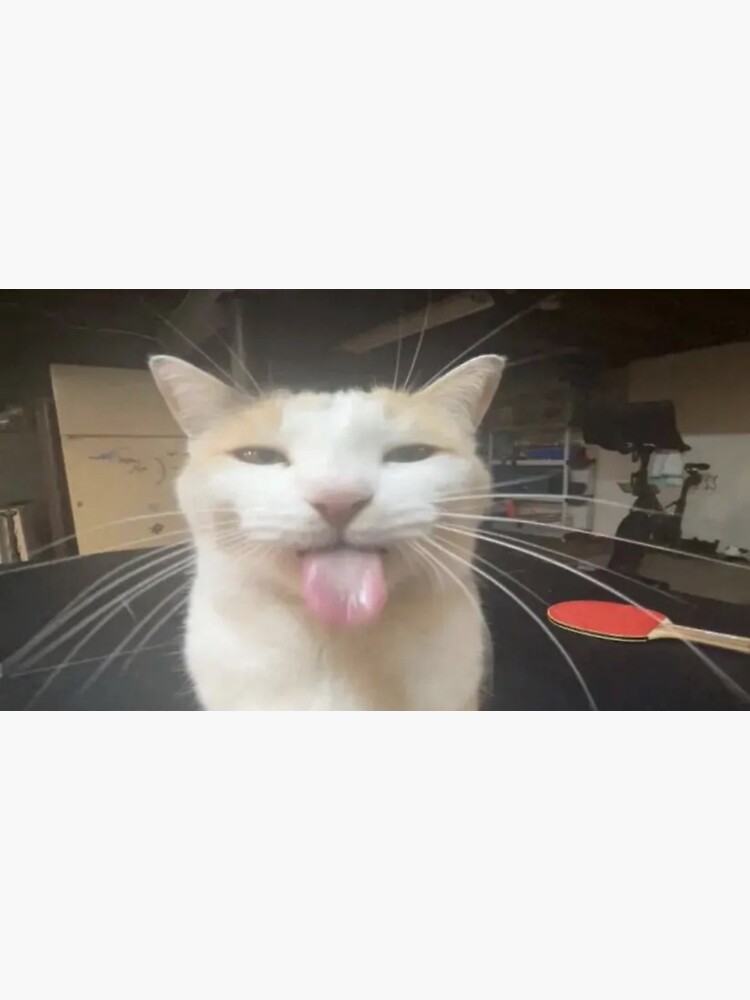 "silly cat BLEH" Sticker for Sale by downbad | Redbubble