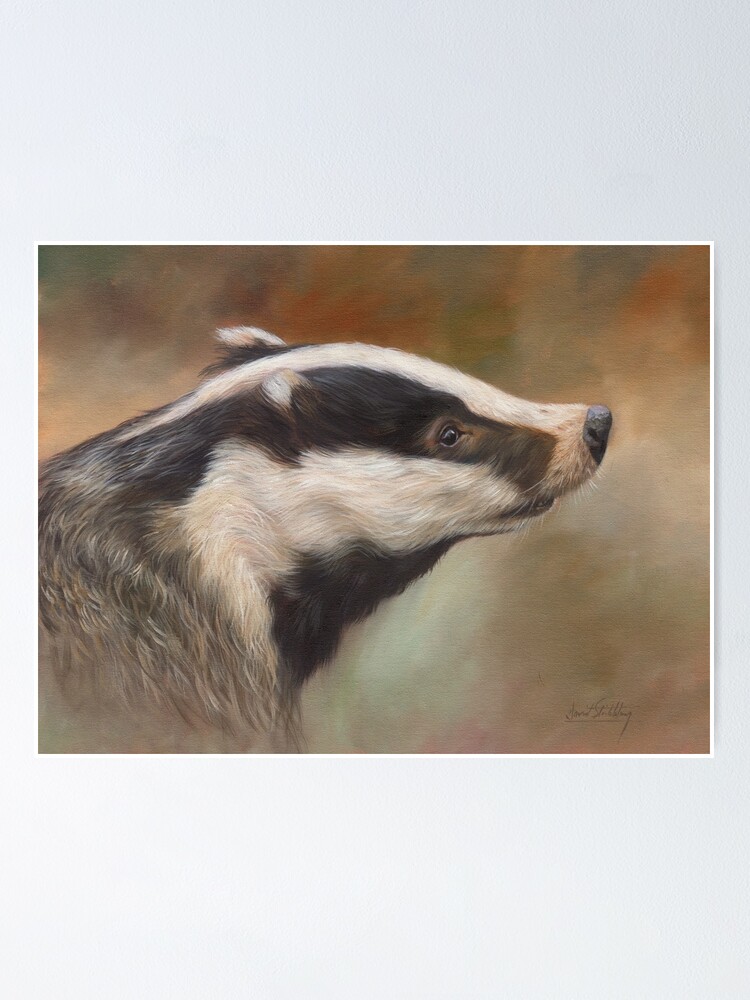 "Badger Portrait" Poster for Sale by davidstribbling | Redbubble