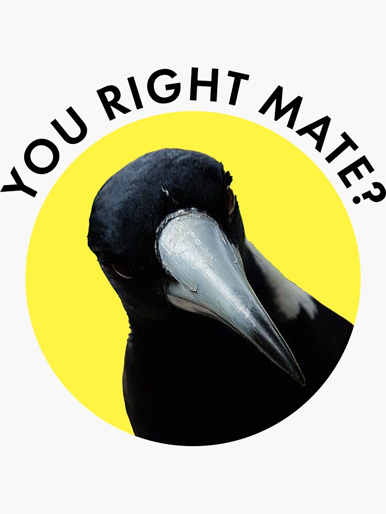 " Magpie Season" Sticker for Sale by KidTastic | Redbubble