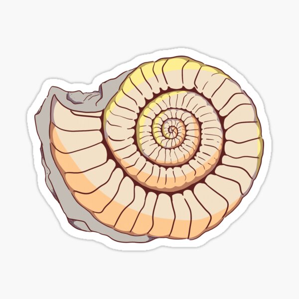 "Ammonite" Sticker for Sale by dinodrawrs | Redbubble