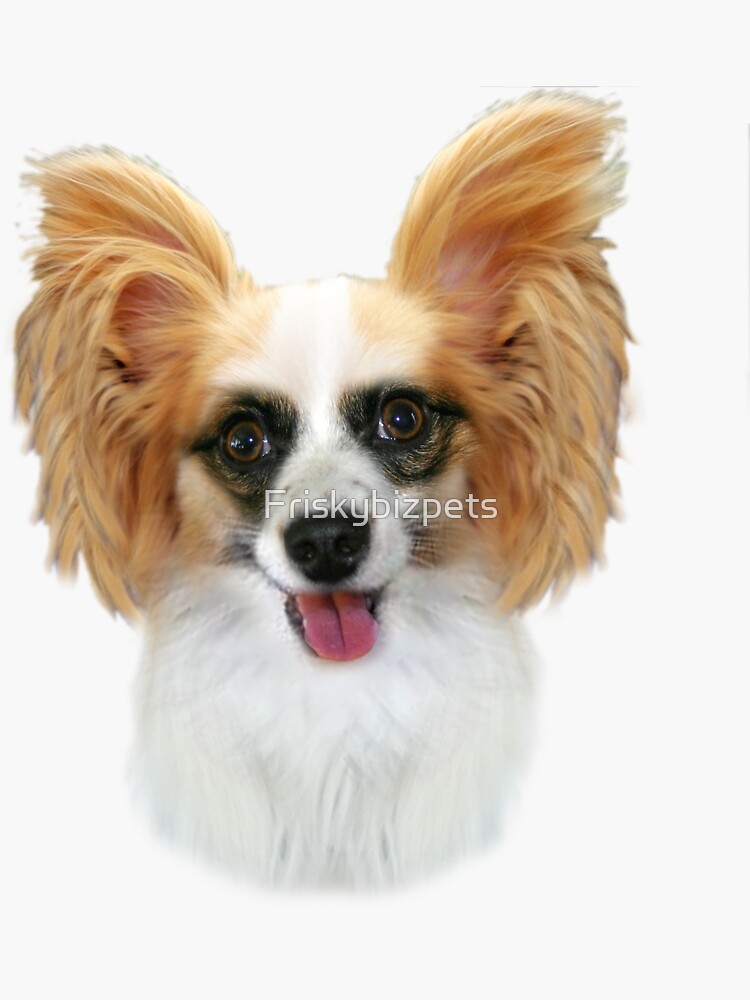 "Papillon Happy Face " Sticker for Sale by Friskybizpets | Redbubble