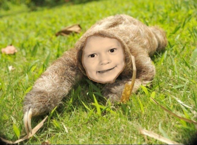 "Slothy" by HotChaiTea | Redbubble