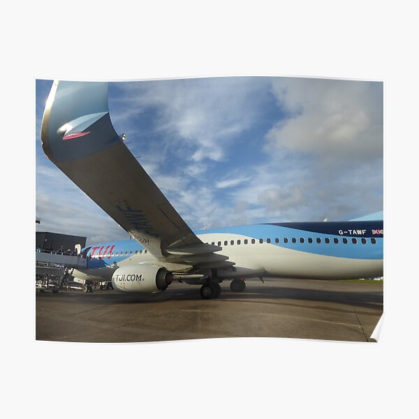 "Tui" Poster by neill8562 | Redbubble