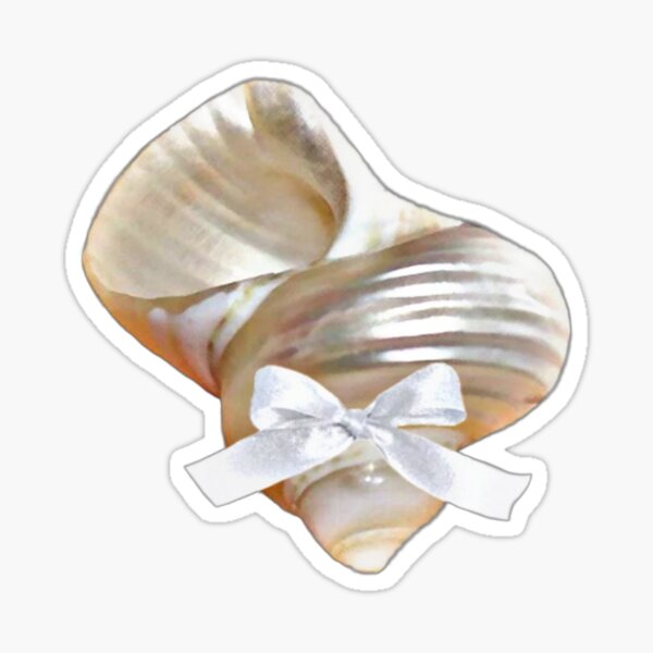 "Shell conch with ribbon bow" Sticker for Sale by Pixiedrop | Redbubble