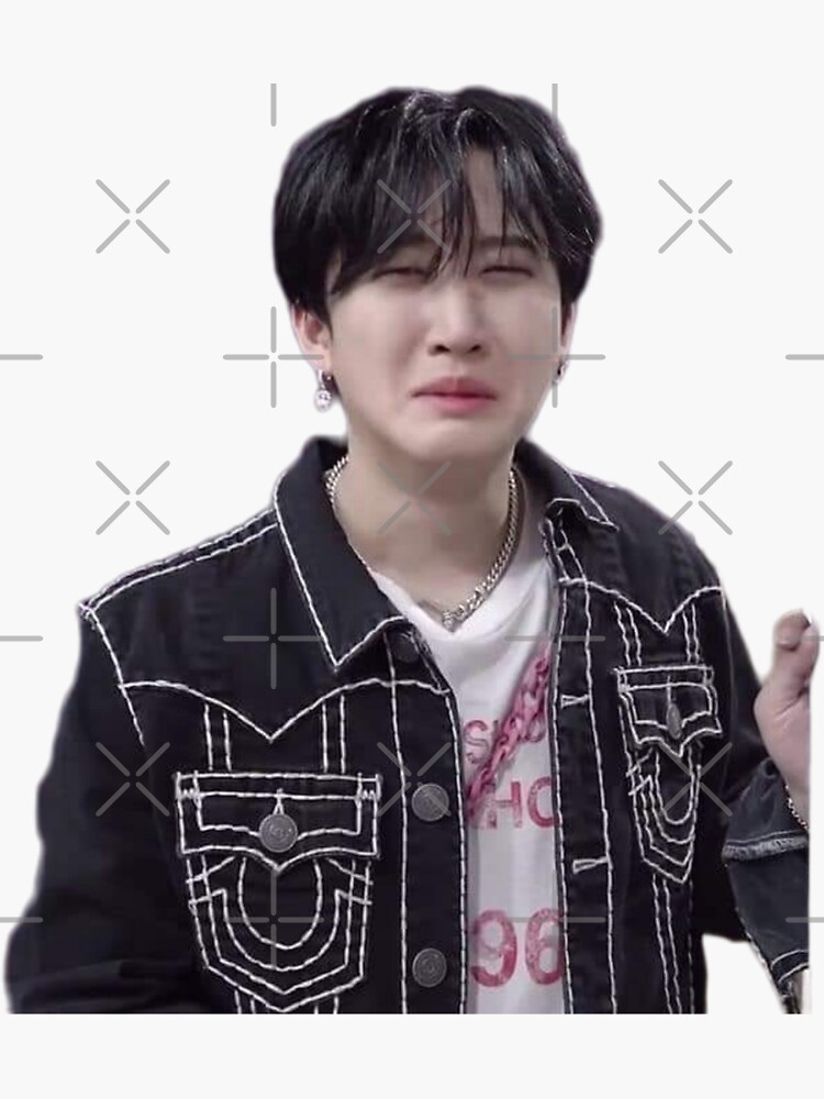 "Stray Kids Changbin funny meme - skz" Sticker for Sale by Monahh98 ...