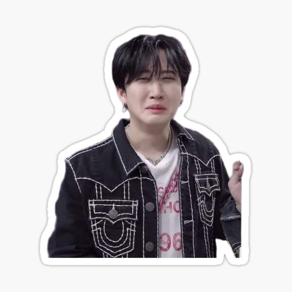 "Stray Kids Changbin funny meme - skz" Sticker for Sale by Monahh98 ...