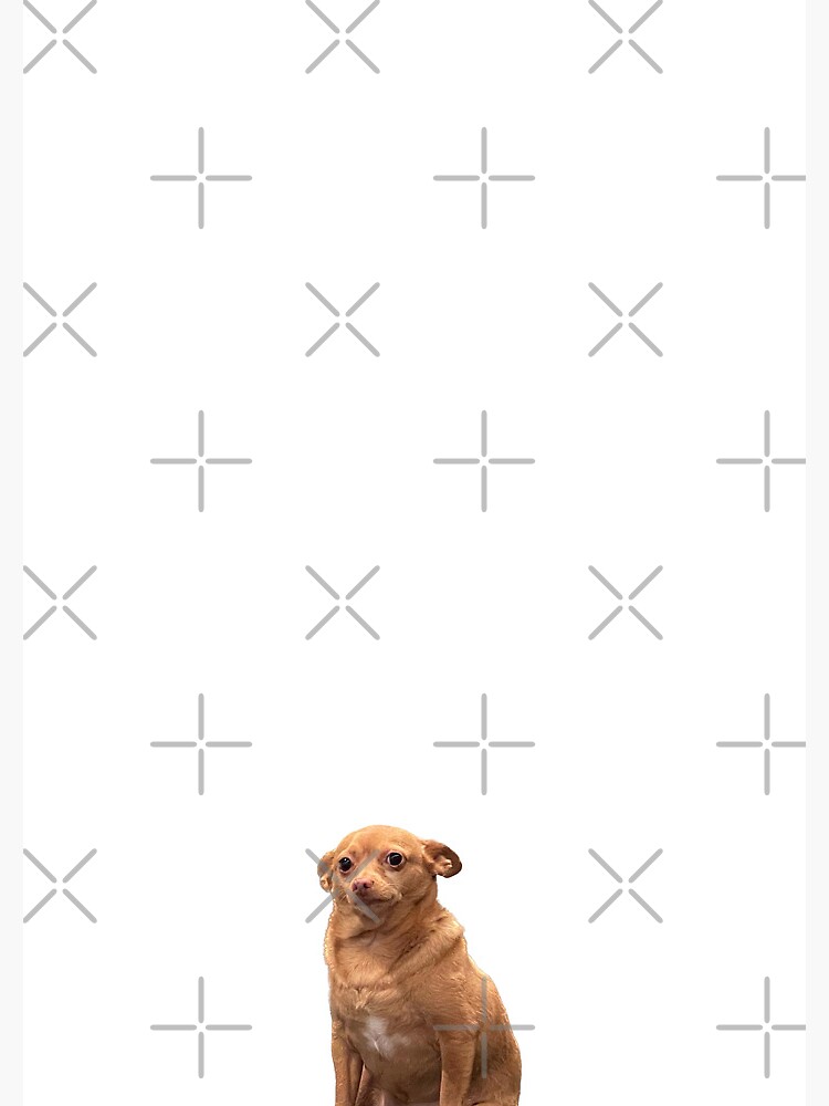 "Disappointed Mouse" Spiral Notebook for Sale by Cheddariniii | Redbubble