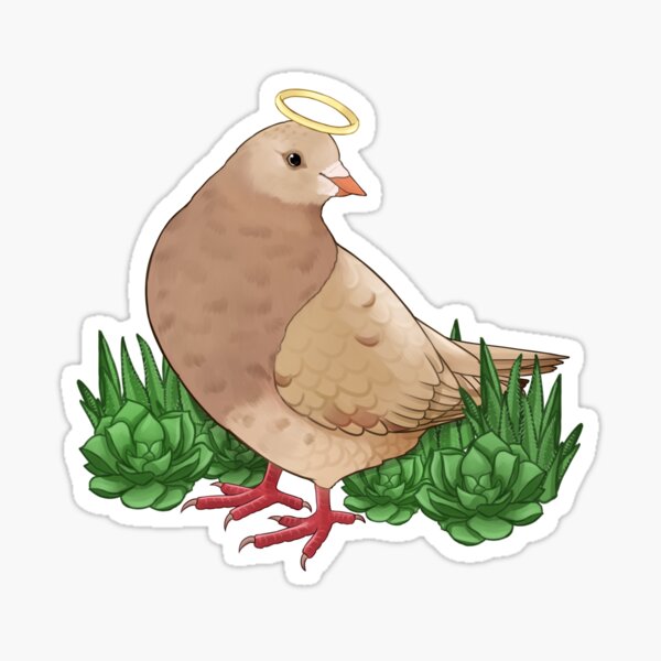 "Cute Pigeon" Sticker for Sale by meruesan | Redbubble