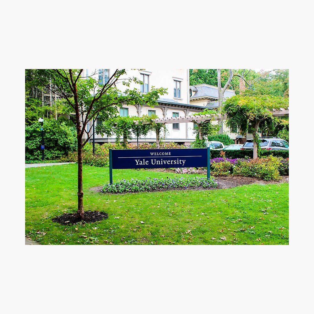 Welcome To Yale University YALE FRESHMAN MOVE IN VLOG *back To School