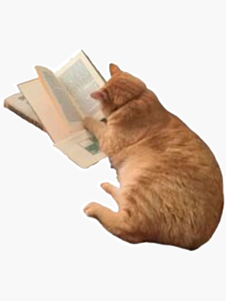 "Reading Cat" Sticker for Sale by strawberryvogue | Redbubble