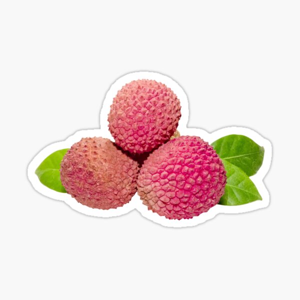 Lychee Gifts & Merchandise | Redbubble