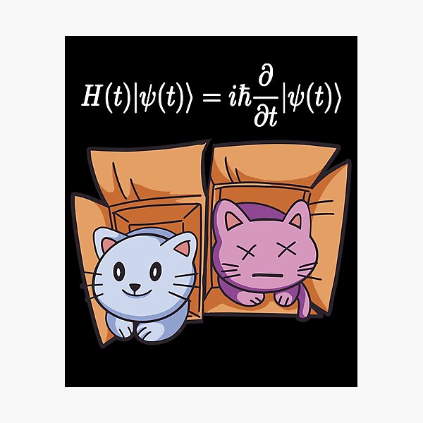 "Quantum Mechanics Schrödingers Cat Equation Cartoon" Photographic ...