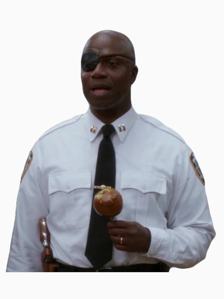 "Silly Captain Holt" T-shirt for Sale by laurentrossman | Redbubble ...