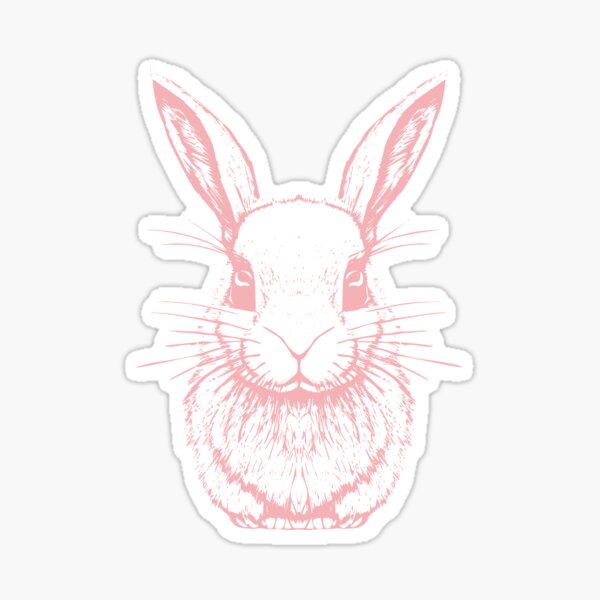 "Smart bunny" Sticker for Sale by Aceofspace3000 | Redbubble
