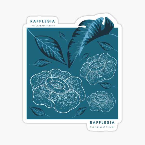" RAFFLESIA FAYE" Sticker for Sale by GoMoni | Redbubble