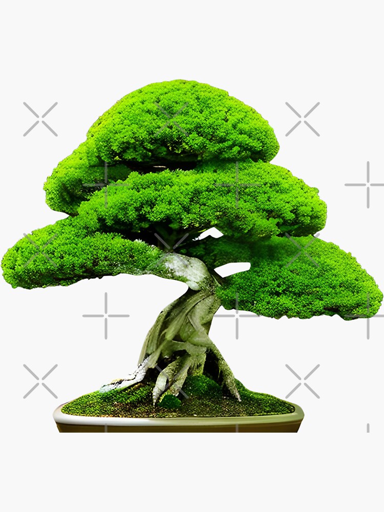 "Beautiful bonsai tree" Sticker for Sale by gramizzia | Redbubble