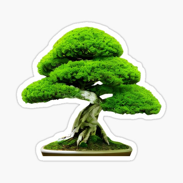 "Beautiful bonsai tree" Sticker for Sale by gramizzia | Redbubble
