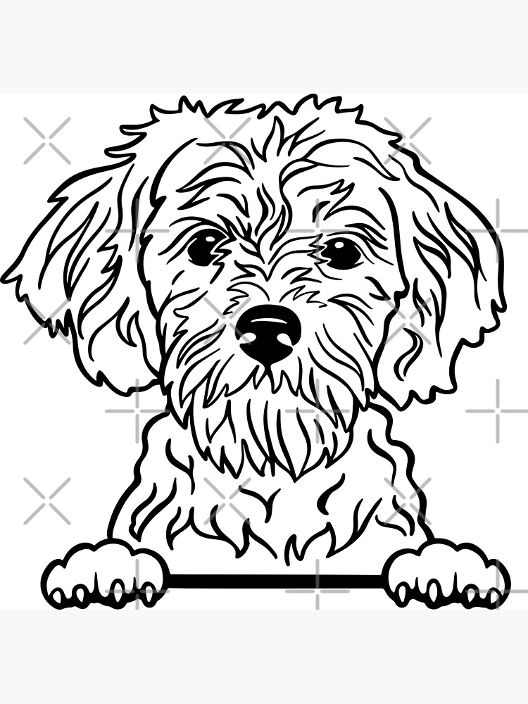 "Cavapoo funny dog" Poster for Sale by SolArt88 | Redbubble