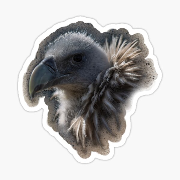"vulture splatter" Sticker for Sale by art-void | Redbubble