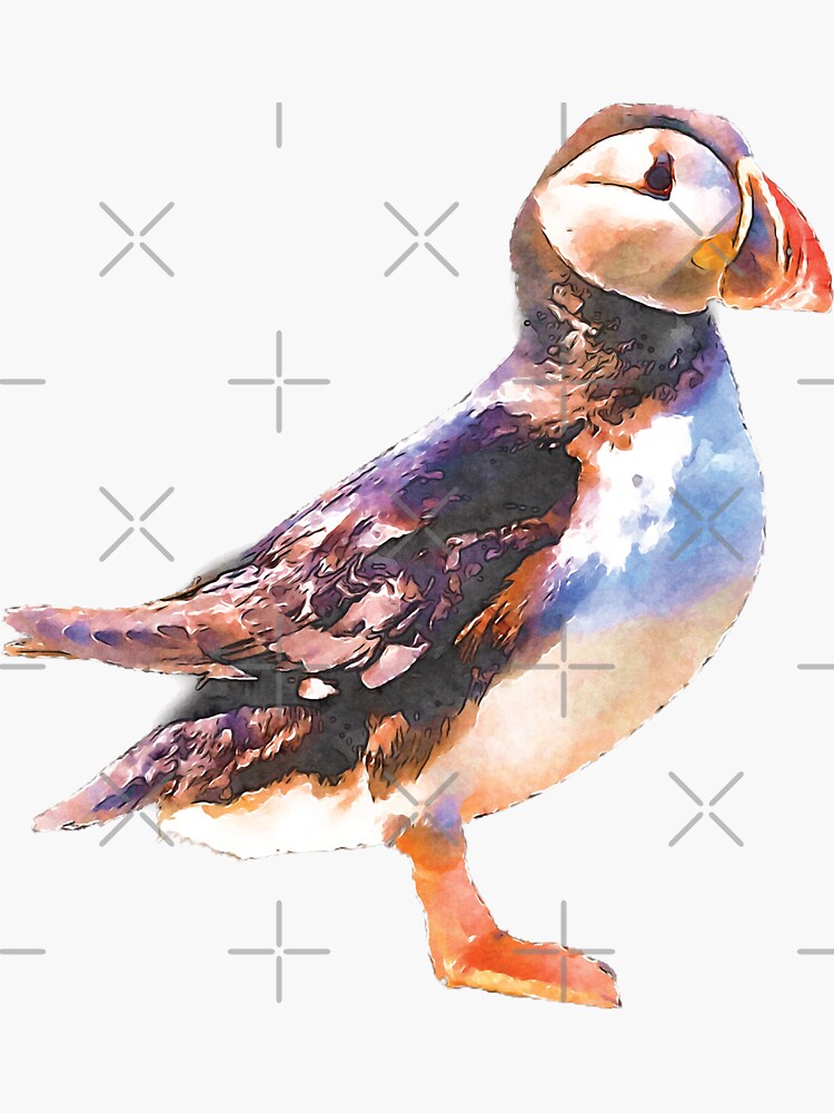 "puffin" Sticker for Sale by piesdesignart | Redbubble